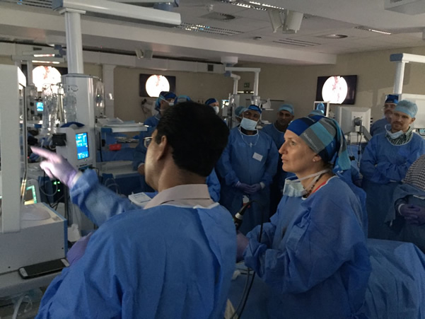 Functional Endoscopic Sinus Surgery Course 2020